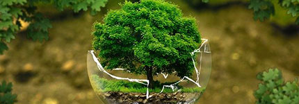 Certified ESG Analyst (CESGA®)-Befektetések